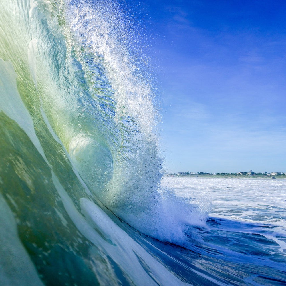 ARTISTS – Gallery500.art