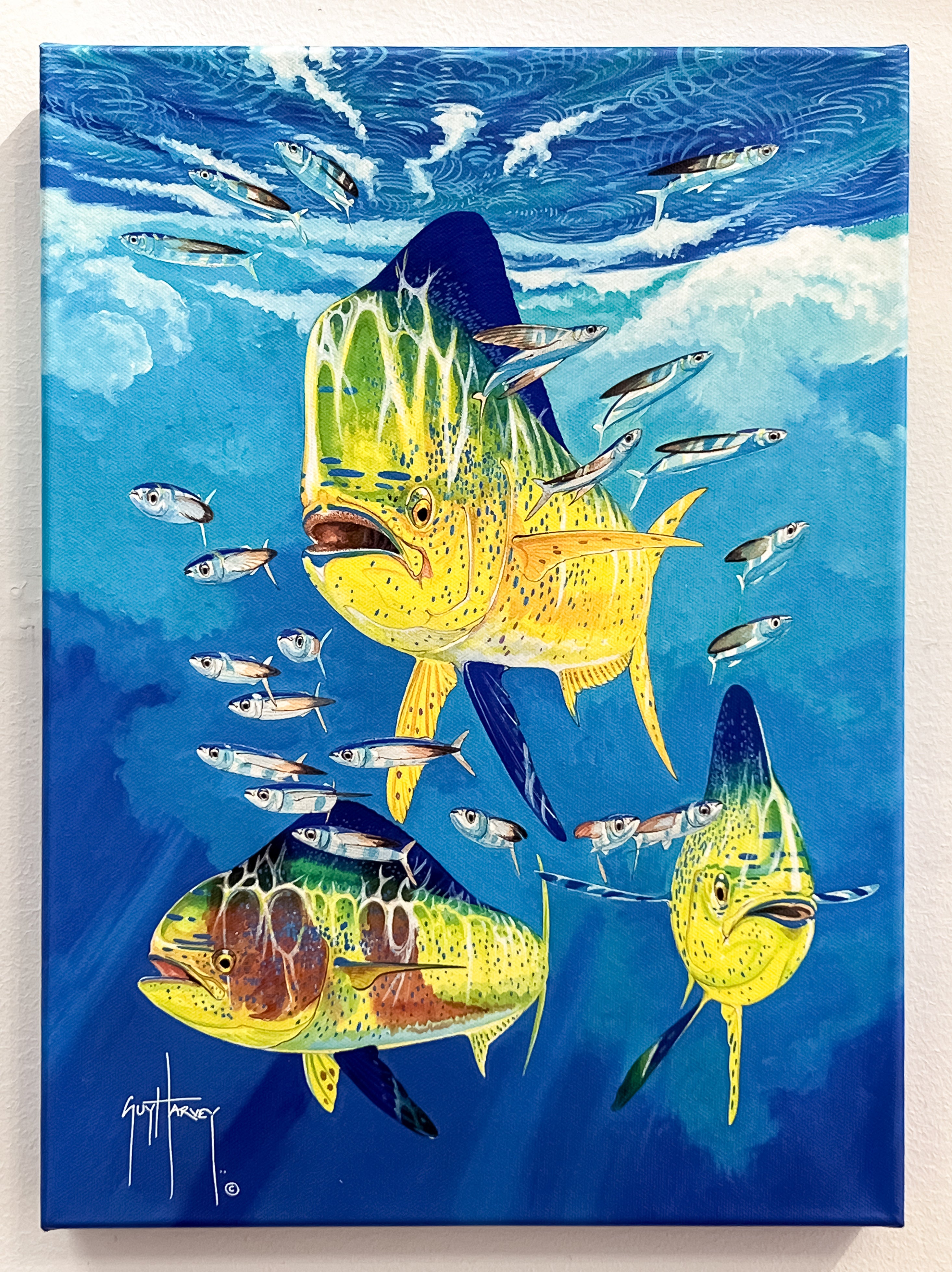 Guy Harvey – Gallery500.art